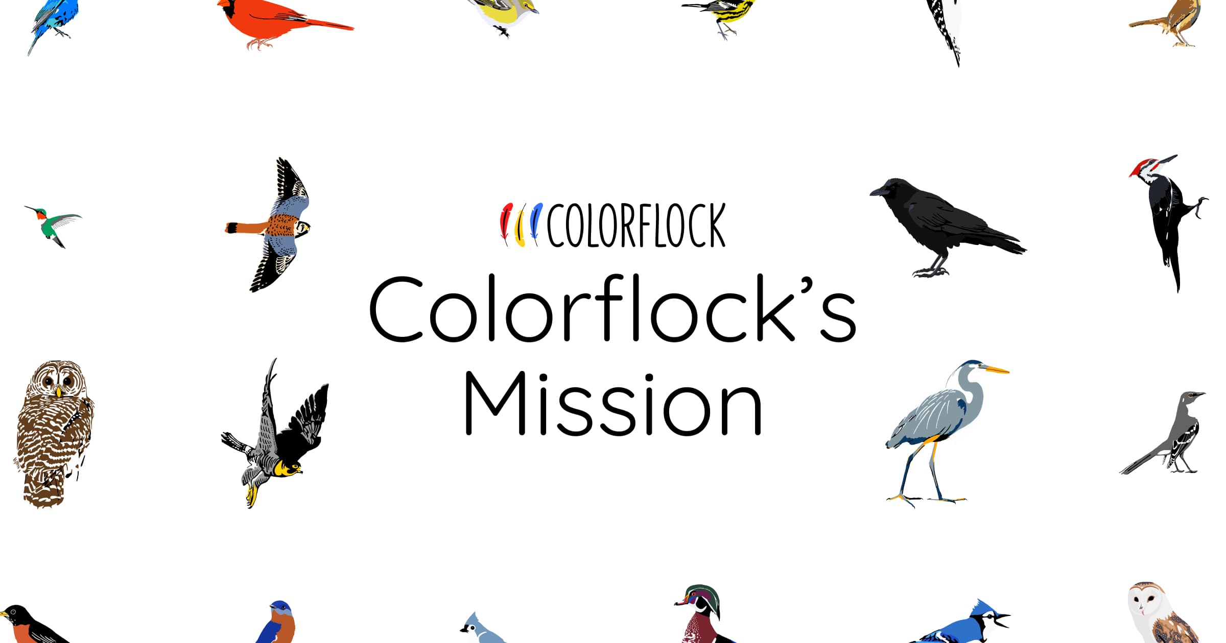 The Colorflock Mission