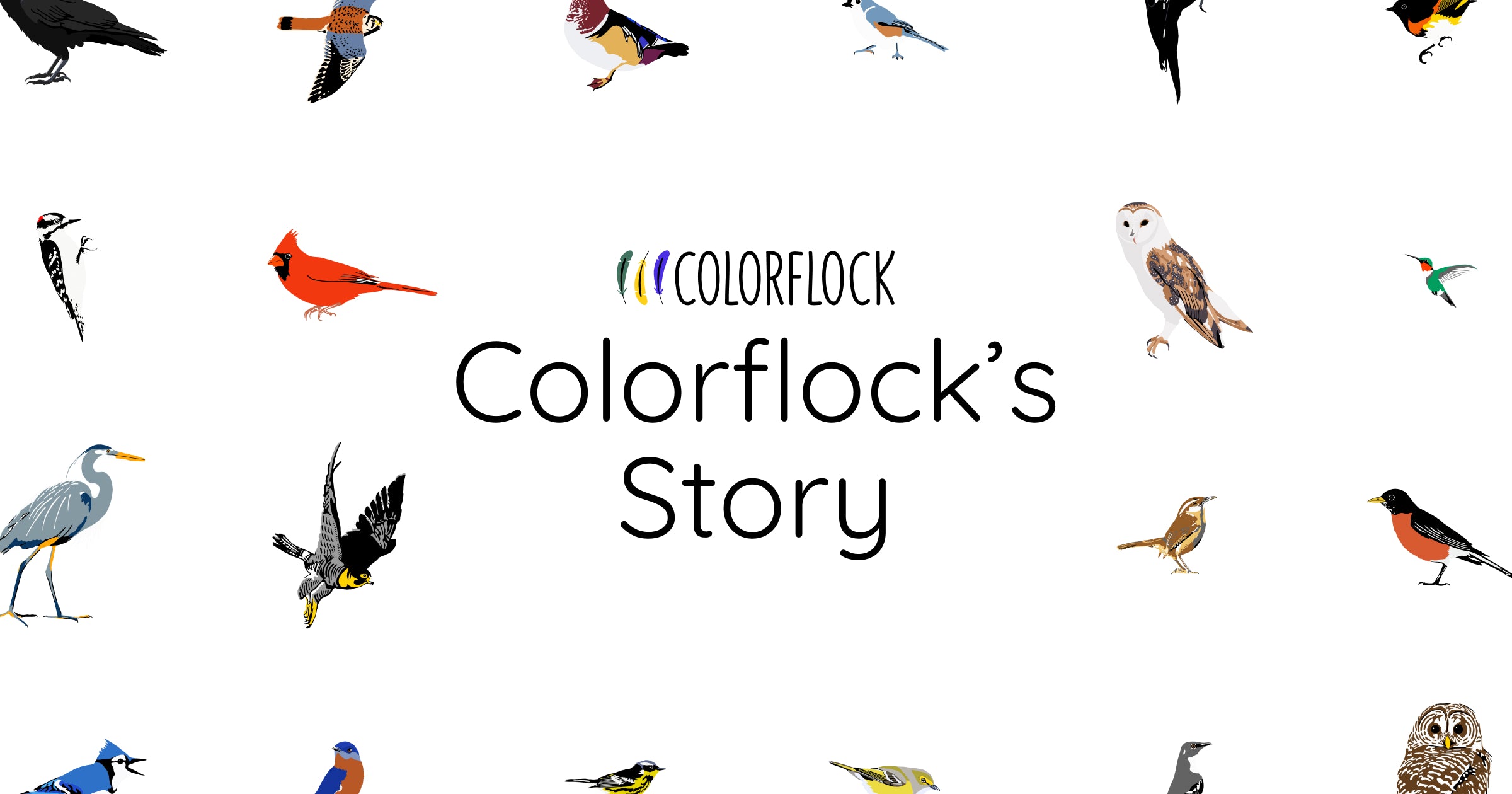 The Colorflock Story